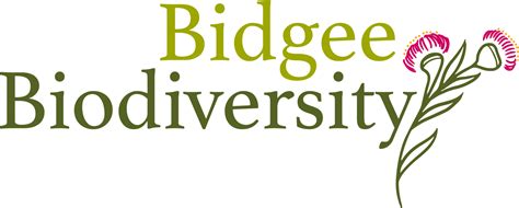 Yanco Biodiversity Field Day Murrumbidgee Landcare Inc