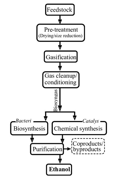 Ethanol Fermentation Process