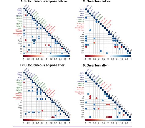 Visual Representation Of Spearman Correlation Analysis For Rna