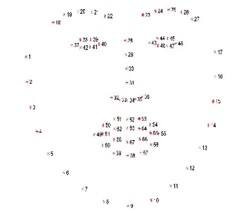 How To Automatically Detect Cheeks From Images Using Viola Jones