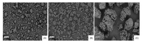 Granules Meaning In Pharmacy Formulation Boc Sciences
