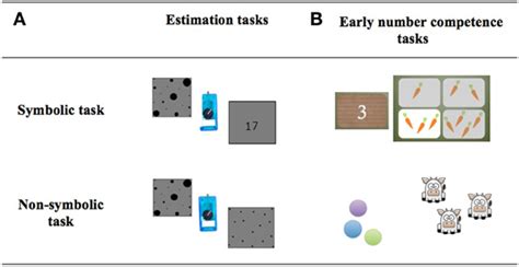 symbolic and non symbolic tasks in the a estimation and b the early