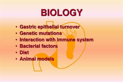 Epithelial Proliferation In H Ppt Download