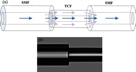 the transverse refractive index profile of the tcf measured by s14 download scientific diagram