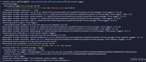使用kaggle命令下载数据集kaggle数据集下载 Csdn博客