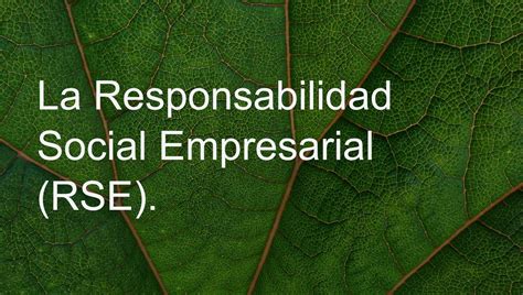 La Responsabilidad Social Empresarial Rse It Renting Renting