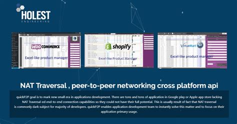 Holest Engineering Home