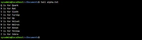 Viewing Files In Linux Cyber Security Networking Technology Courses And Blog