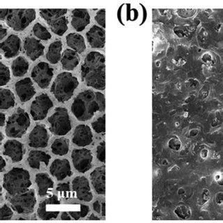 SEM Images Of A P VDF HFP Coating And B P VDF HFP Coating Embedded