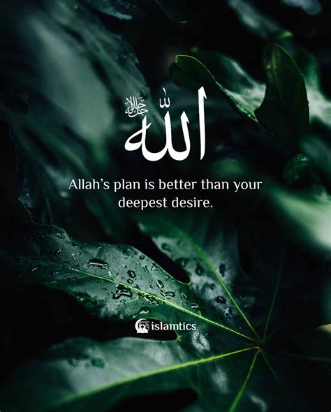 Allahs Plan Is Better Than Your Deepest Desire Islamtics