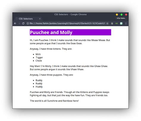 Css Selectors Explained With Demo A Learning Journey To Web