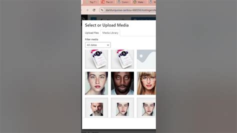 Wordpress Performance News Shorts Wordpress Youtube