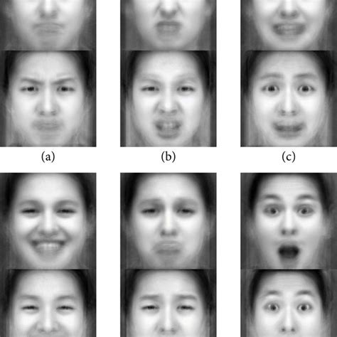 Kdef Facial Expression Dataset Download Scientific Diagram