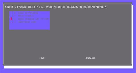 Setup And Run Pi Hole On A Raspberry Pi Privacy International