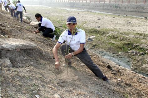 Tree Plantation Programme