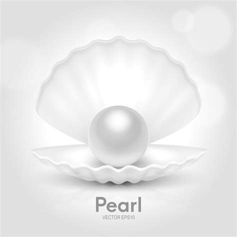Vector 3d Realista Hermosa Natural Abierta Perla Blanca Con Perla