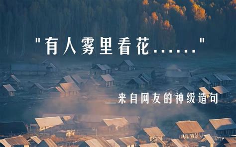 “有人雾里看花，”的网友神级续写。唯美造句 哔哩哔哩