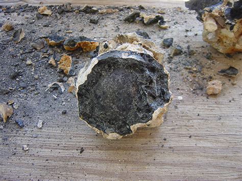 Encrustation Removal