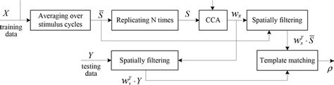 Flowchart Of Target Recognition In The C Vep Bci Download Scientific Diagram