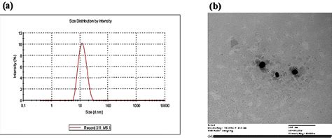 Self Assembling Lecithin Based Mixed Polymeric Micelles For Nose To Br Ijn