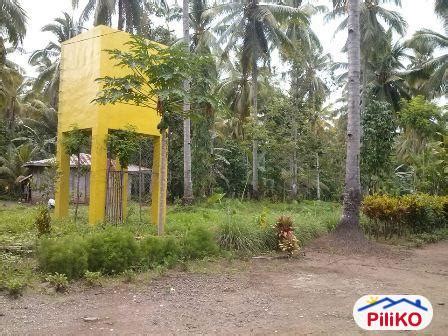 Agricultural Lot For Sale In Davao City Piliko