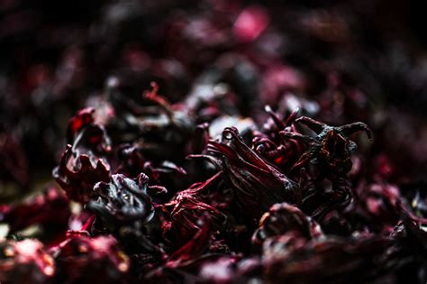 תה היביסקוס על היופי הטעם והיתרונות Greenteaeveryday