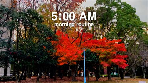 【5am Morning Routine】casual Holiday Morning Routine Japan Vlog Youtube
