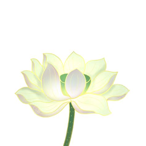 여름 연꽃 여름 큰 열 샤오 슈 Png 일러스트 및 Psd 이미지 무료 다운로드 Pngtree