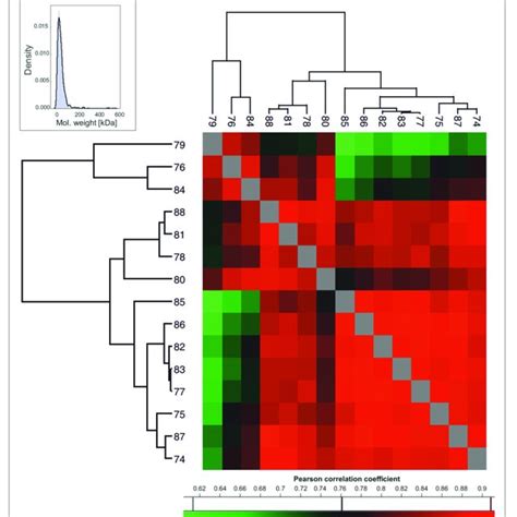 A Protein Intensity Rank X Axis Based On The Mean Log2 Ibaq Values