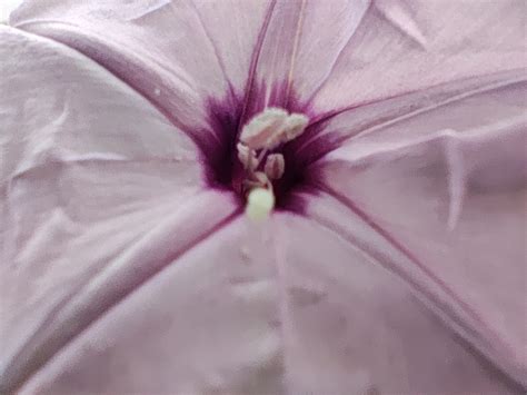 POCO X Pro G Review A Worthy Successor To POCO X Pro