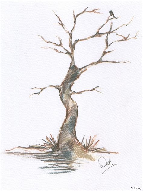Dead Tree Drawing At Explore Collection Of Dead