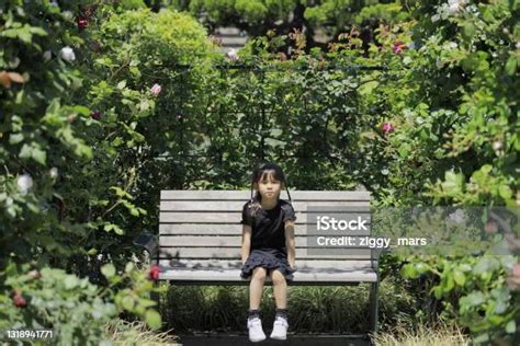 일본 가나가와 요코하마 의 장미 복도에 있는 일본 학생 소녀 6 7 살에 대한 스톡 사진 및 기타 이미지 6 7 살