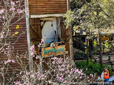 Video Check Out The Progress At Tianas Bayou Adventure In Disney World The Disney Food Blog