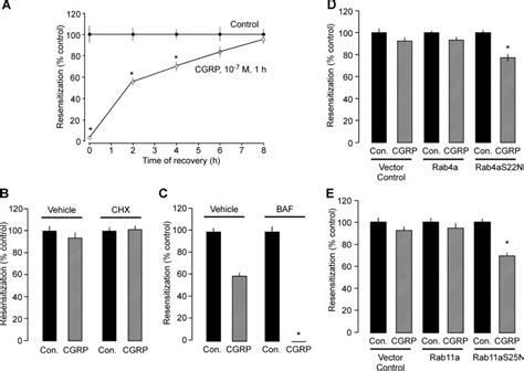 Desensitization And Resensitization Of Cgrp Induced Mobilization Of Ca