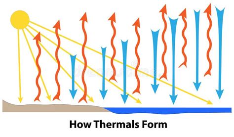 How Thermals Form Weather Diagram Stock Vector Illustration Of Flow