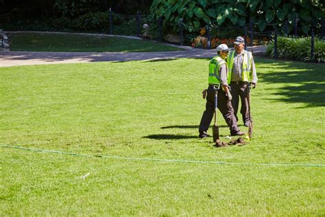 Turf Wars How To Win The Battle With 3 Common Turf Grass Problems