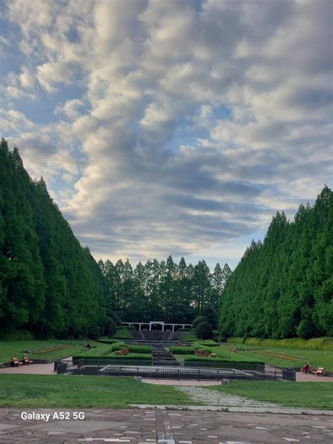 公園 豊かなulan