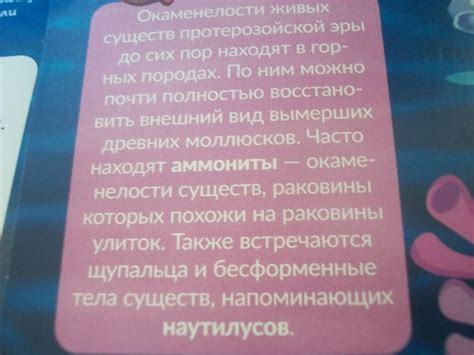 100 7640 — Postimages