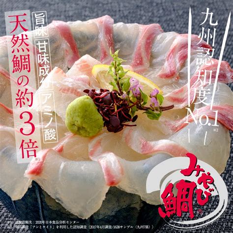 【楽天市場】みやび鯛 「鯛600g」刺身 600g 鯛 タイ たい 熊本県 養殖 真鯛 刺身 魚介 海鮮 切り身 切身 小分け 食べきり 骨