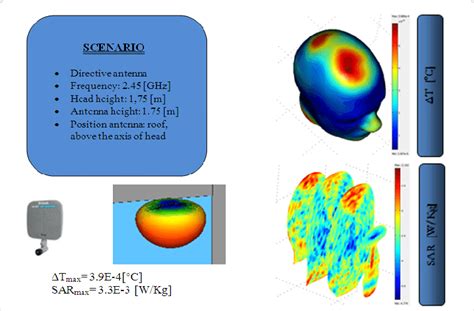 Temperature And Sar Variation On The Head Surface Considering