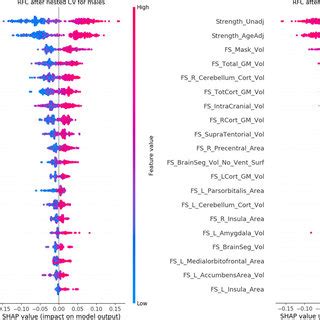 Summary Plot Of SHAP Values For Classifying Males And Females Using SVM