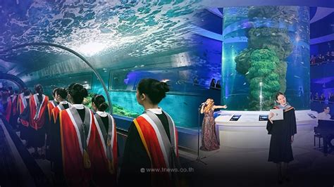 ฉีกทุกกฎรับปริญญาในไทย ม บูรพา รับปริญญาในอควาเรียม มีปลานับร้อยเป็นพยาน