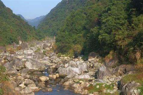 长见识了 原来泰顺氡泉泉眼长这样 搜狐大视野 搜狐新闻