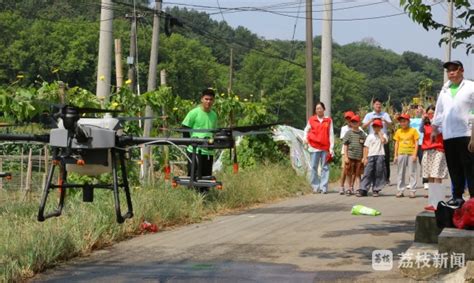 江苏句容：大学生组成“惠农植保飞防队” 奔赴乡村科技助农治虫防病荔枝网新闻