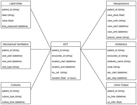 Minimal Sepsis Data Model Dataframes Needed By The Python Pipeline To