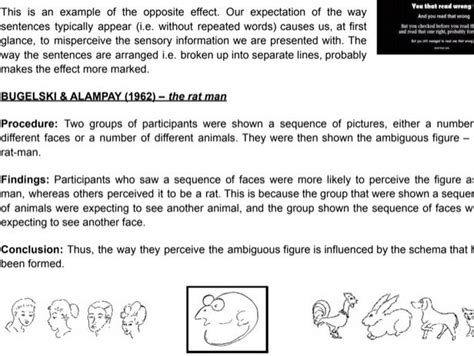 Approaches Booklet 4 Cognitive Approach Teaching Resources