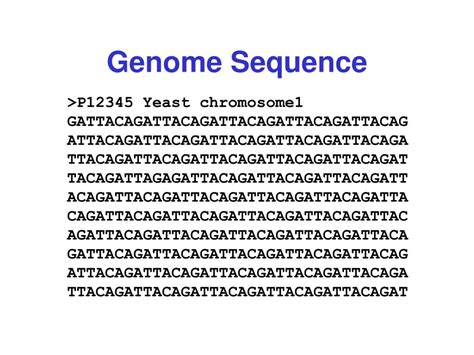 Ppt Genome Annotation Powerpoint Presentation Free Download Id 4573708