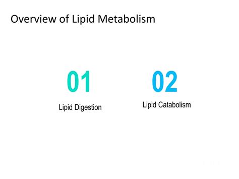 Lipids Metabolismpptx Lipid Metabolism Lipids Metabolism Ppt
