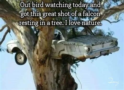 Falcon Meme By Sarcastictheist Memedroid