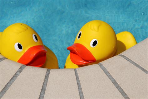 Butterfly Wishes Llc Rubber Ducky Youre The One